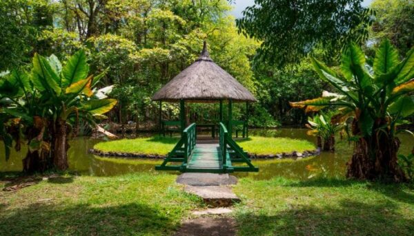 49 Best Places to Visit in Mauritius: Attractions, Beaches, and Nature